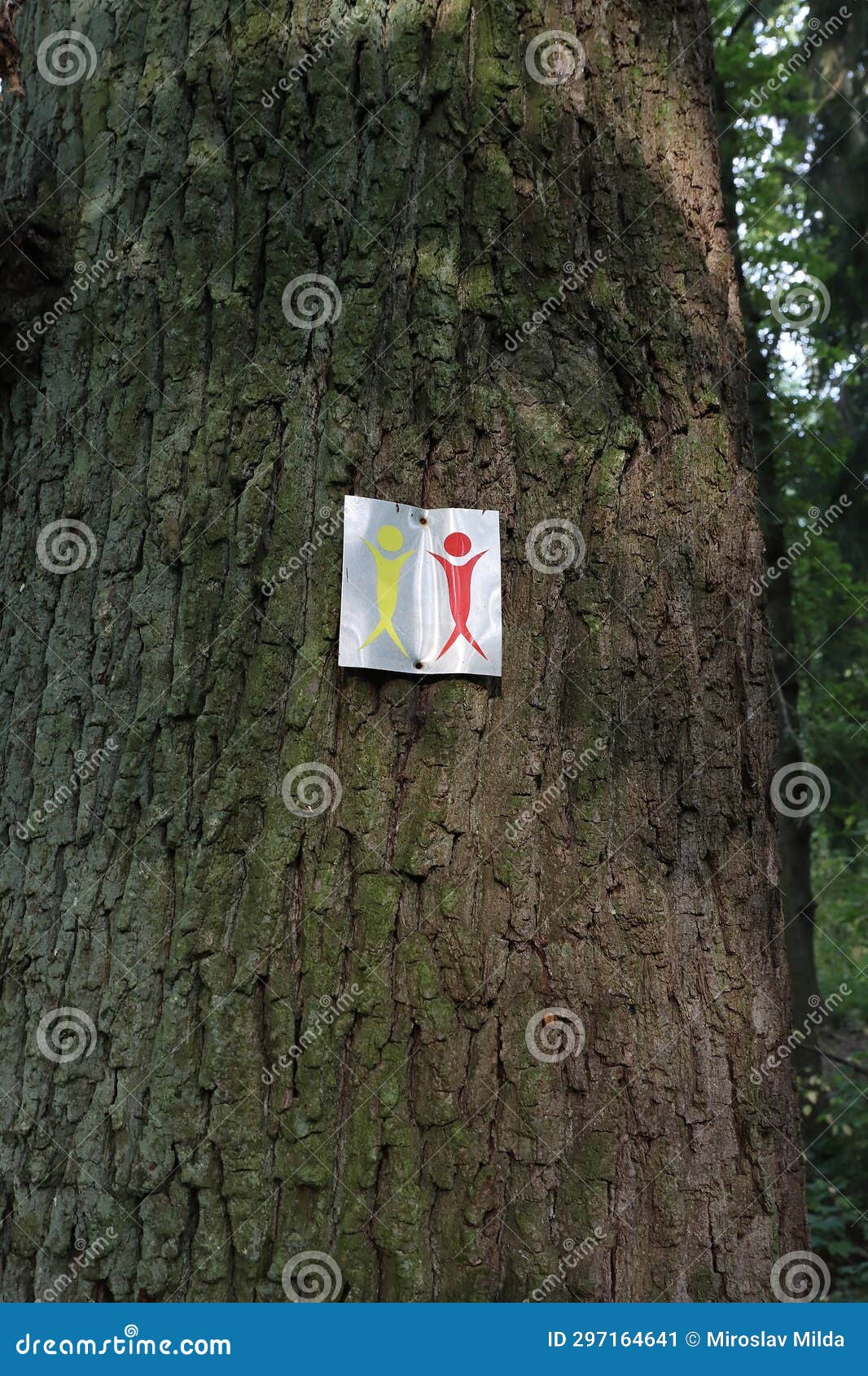 Tourist Path Marker on Tree Stock Image - Image of sign, arrow: 297164641