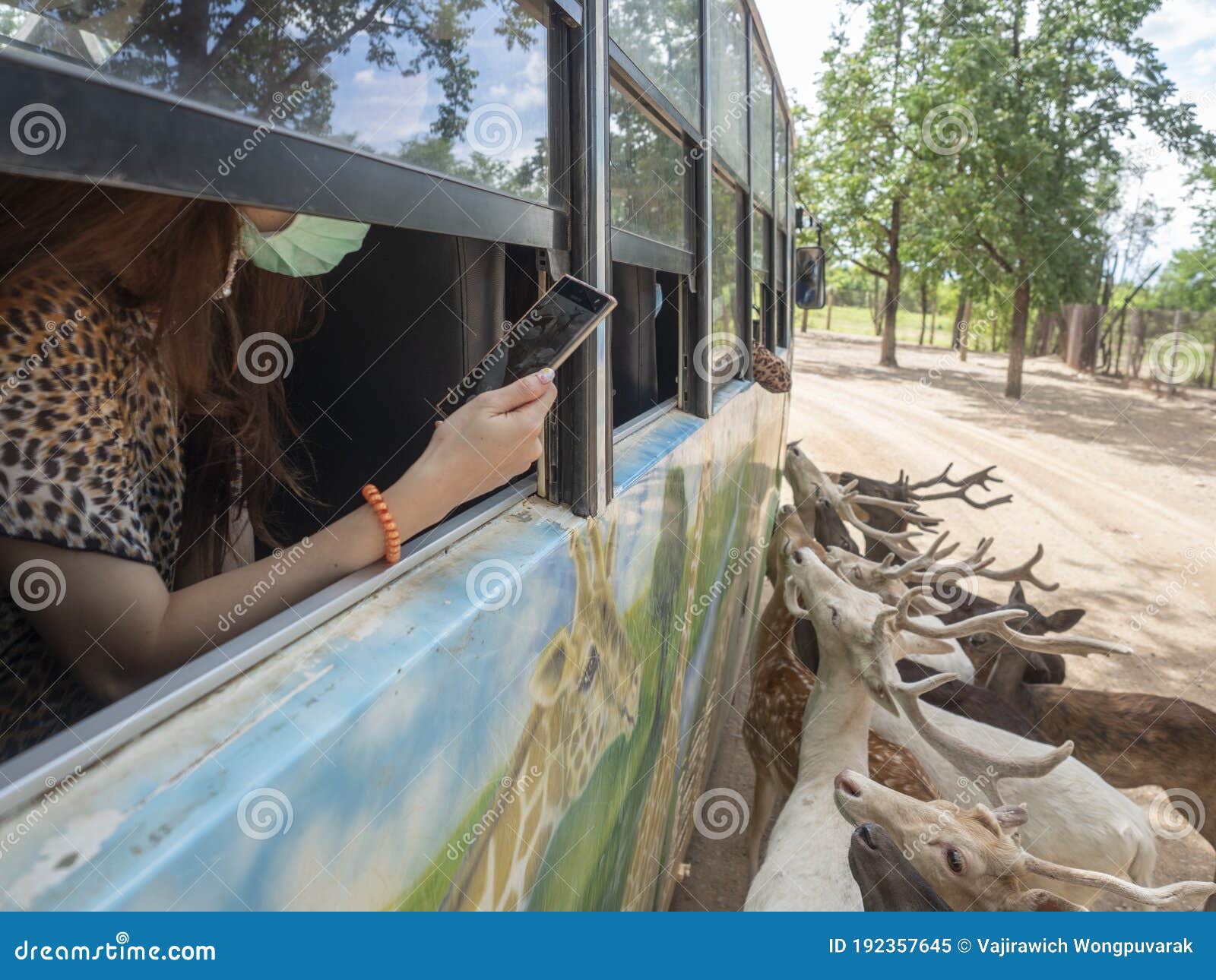 Tourist on Shuttle Bus Using Mobile Smart Phone Taking Photo when ...