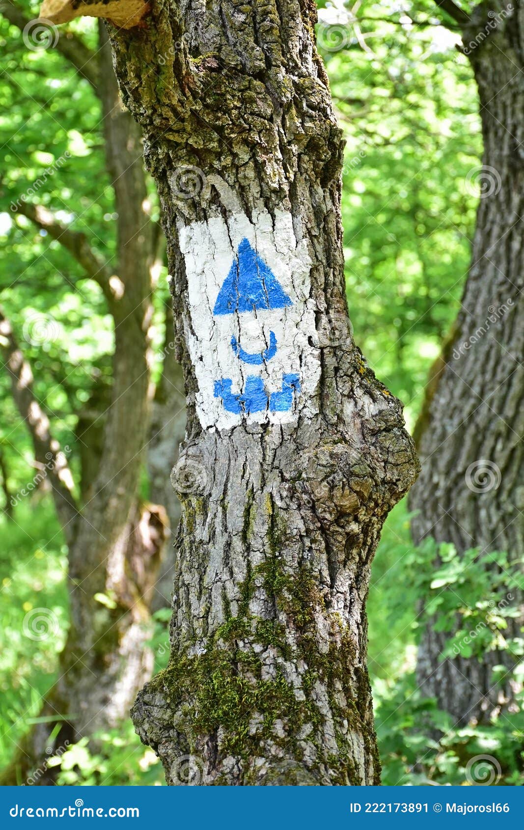 Tourist Sign on the Tree Trunk Stock Image - Image of tour, green ...