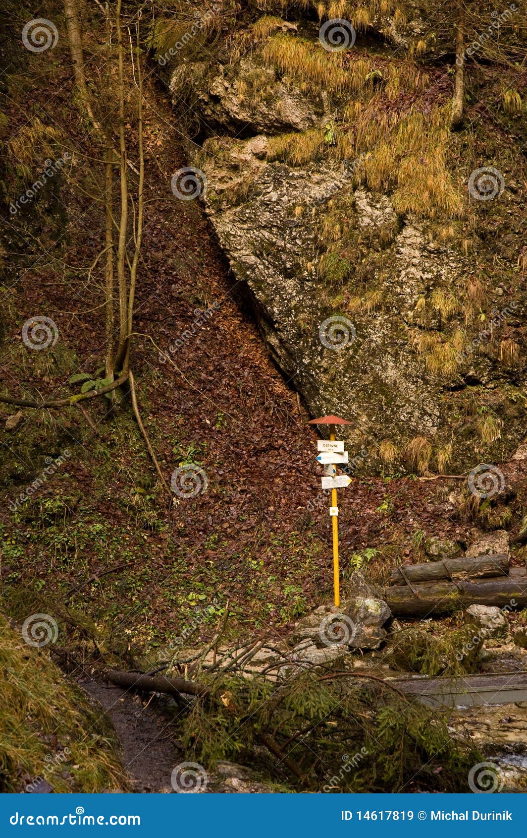 Tourist signpost in forest stock image. Image of drive - 14617819