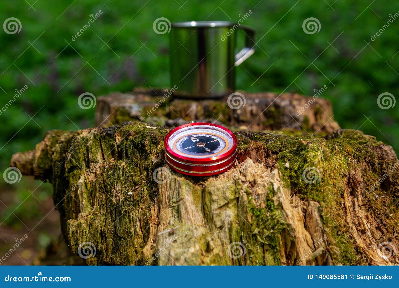 Tourist Steel Cup and Compass in the Summer Forest Stock Image - Image ...