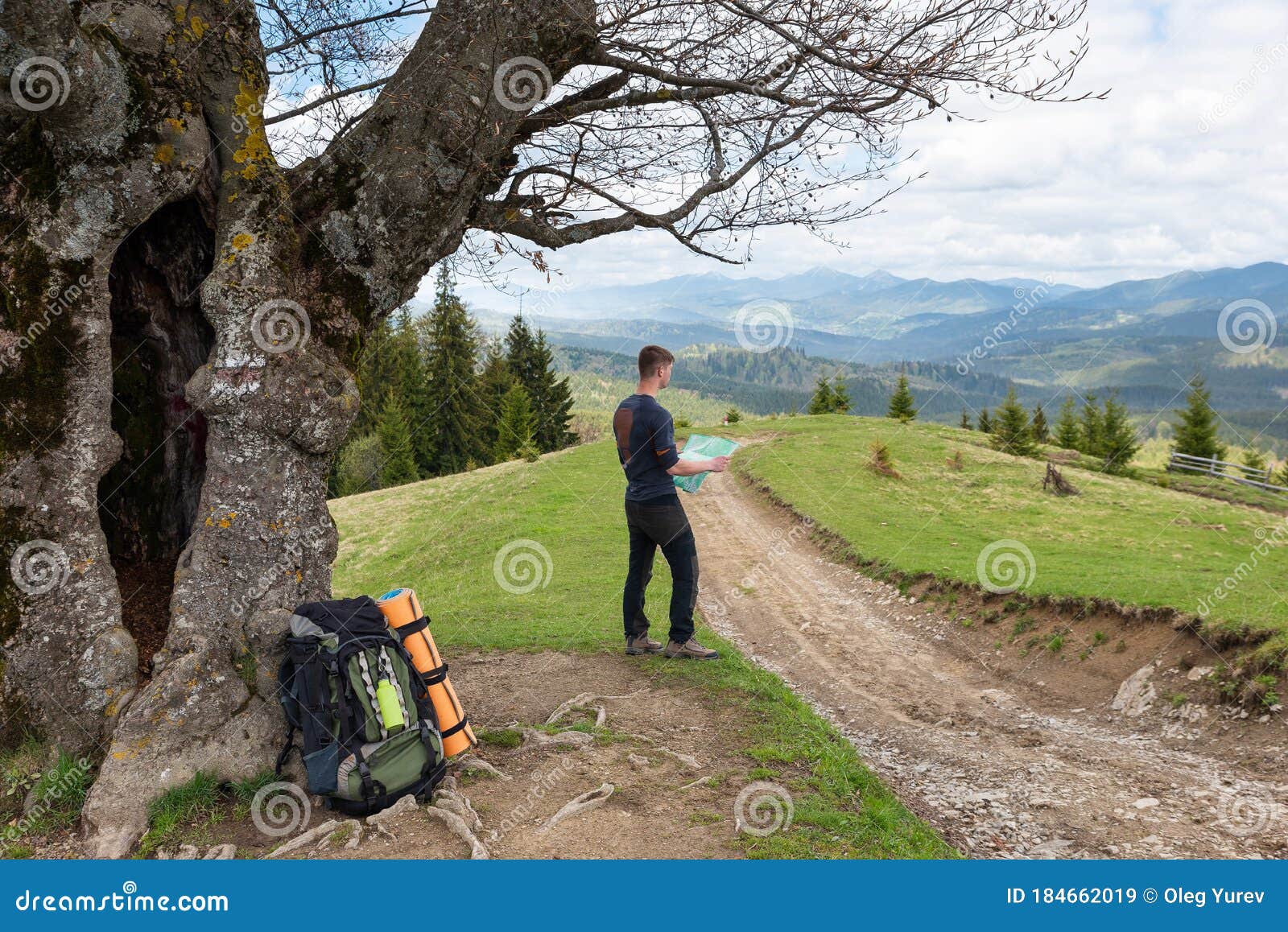 Tourist is Studying a Map of the Area Sitting Under a Tree by the Road ...