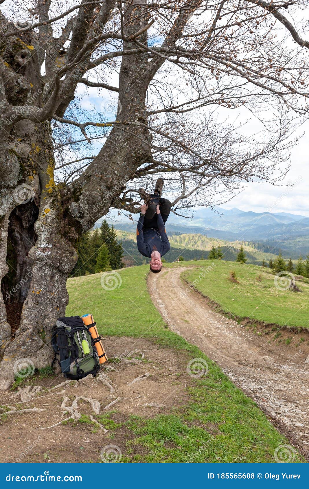 Tourist is Studying a Map of the Area Sitting Under a Tree by the Road ...