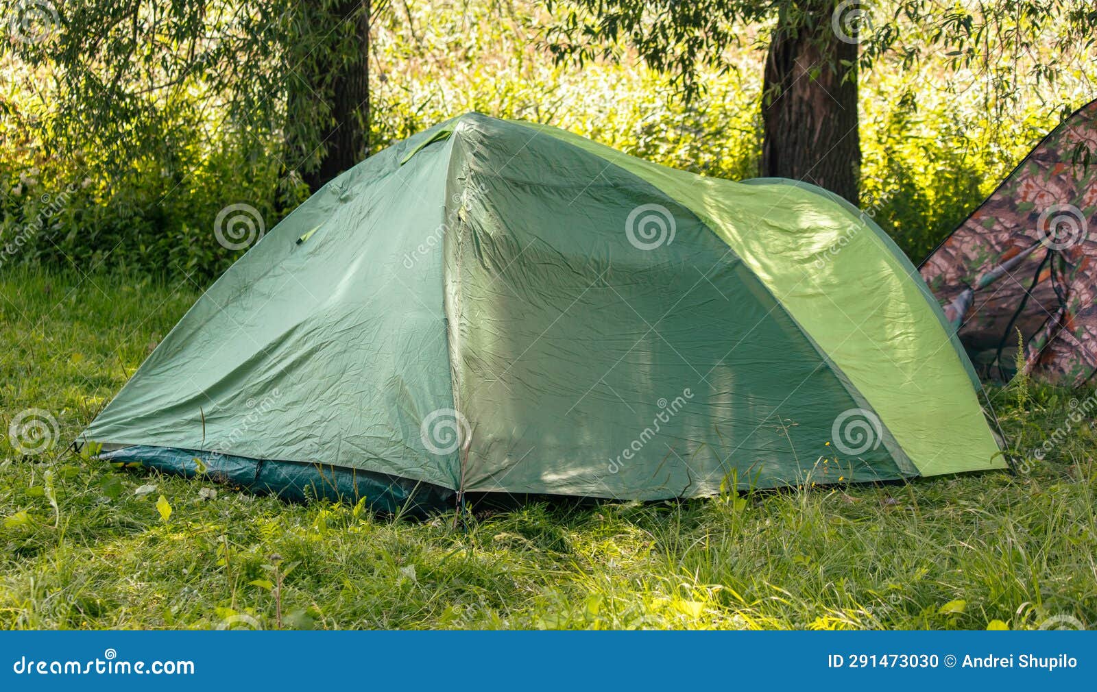 Tourist Tent on Green Grass Stock Photo - Image of holiday, trip: 291473030