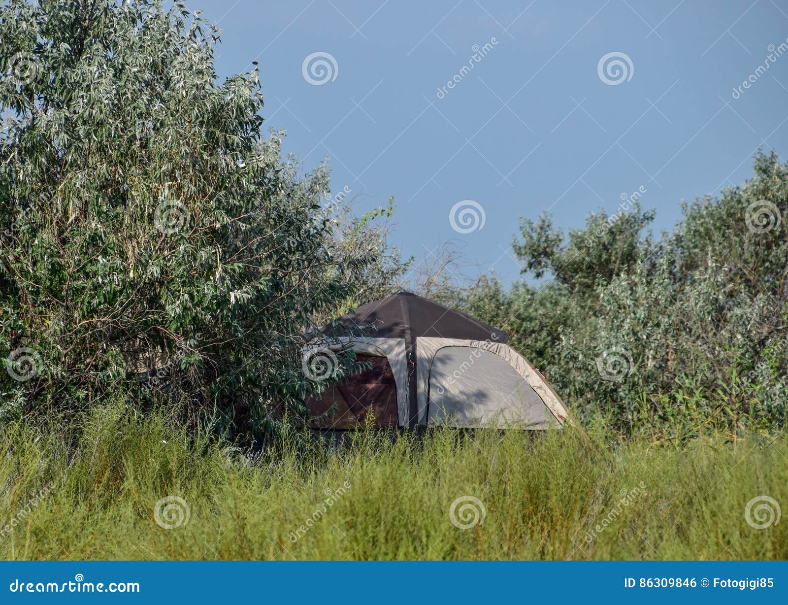 Tourist Tent Under a Tree. Tourist Camping Stock Photo - Image of ...