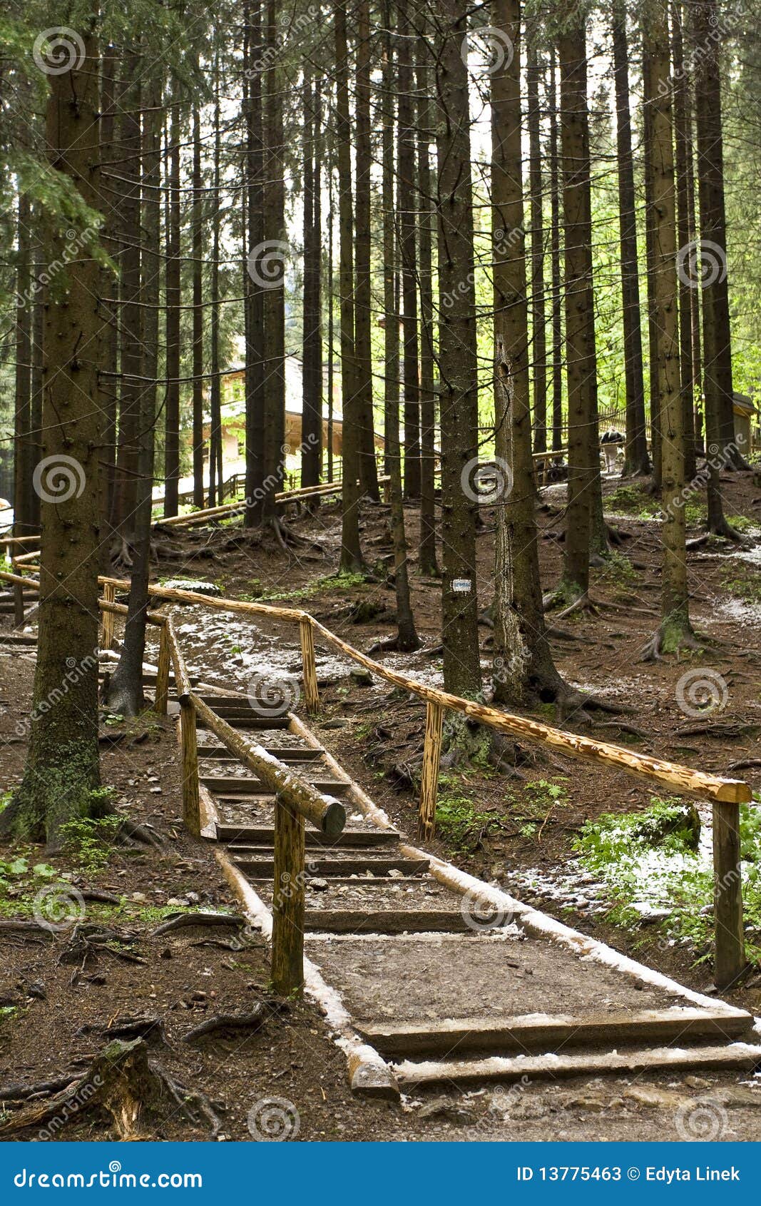 Tourist track stock image. Image of trekking, track, tourism - 13775463