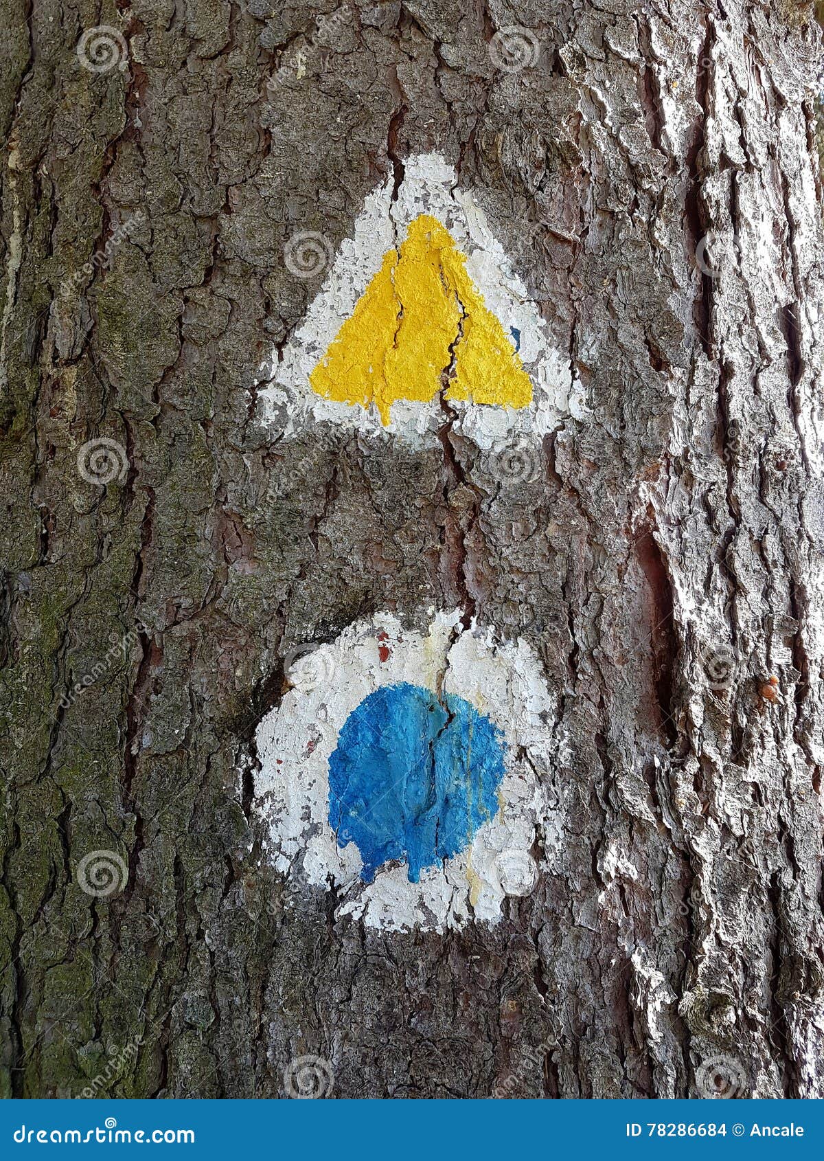 Tourist Trail Sign Marked on a Tree Stock Photo - Image of orientation ...