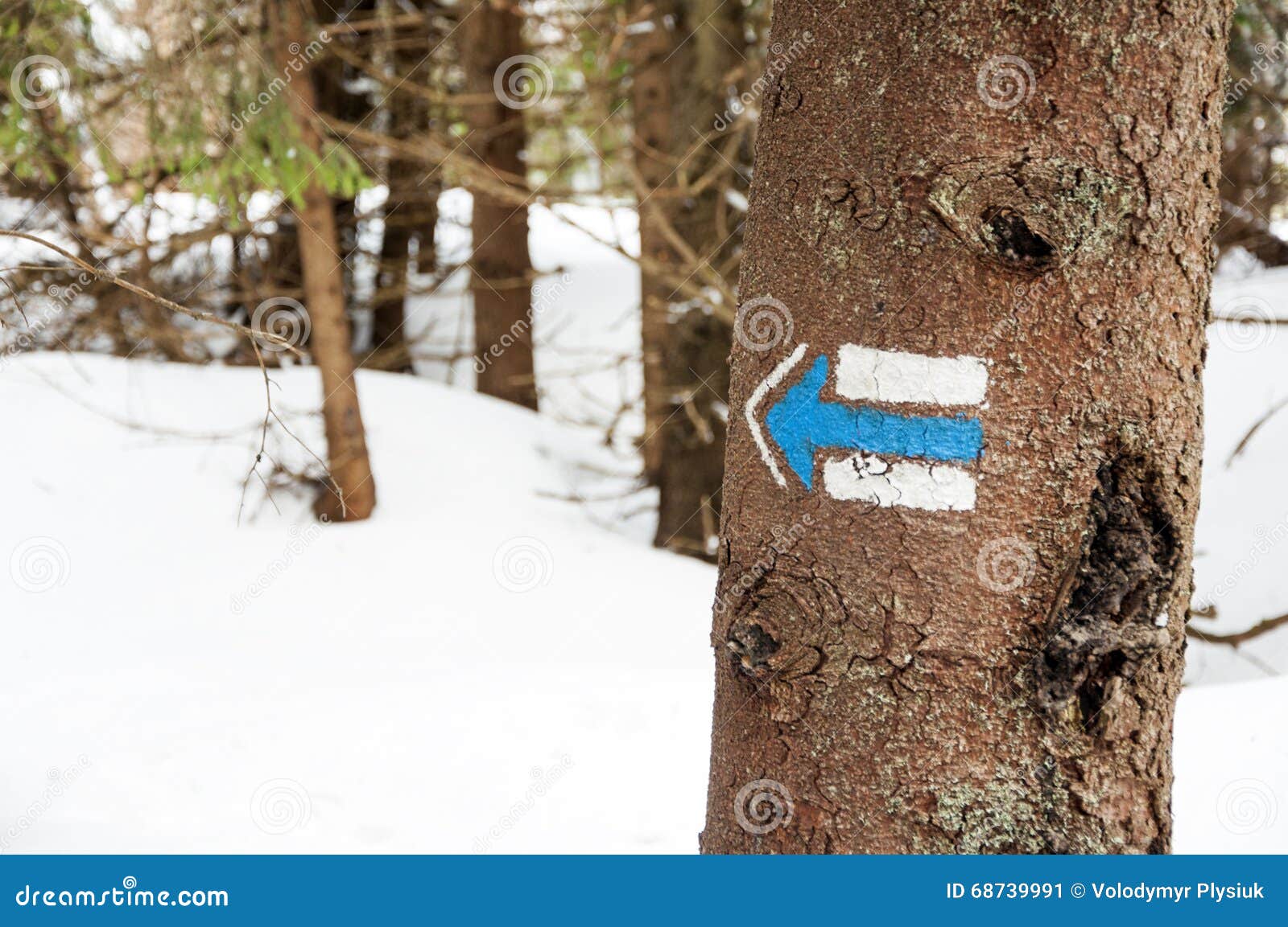 Tourist Trail Sign on the Tree Stock Image - Image of bark, guide: 68739991