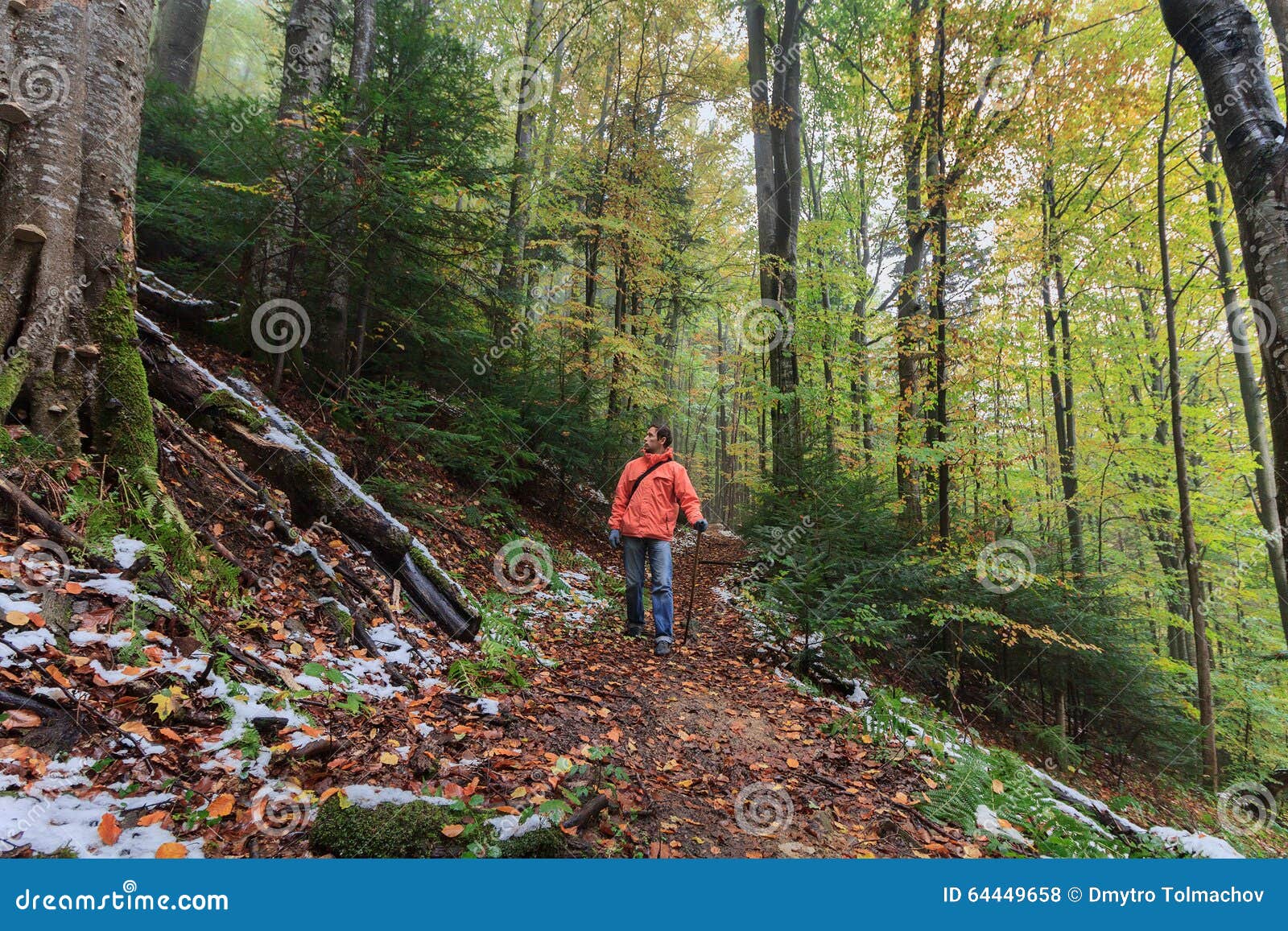 Tourist Walking Along a Forest Trail Stock Photo - Image of grass ...