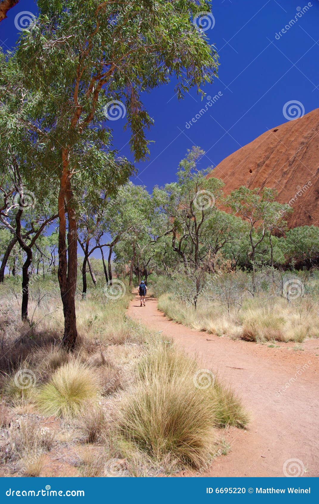 Tourist Walking Path Around Uluru Editorial Image - Image of aborigine ...
