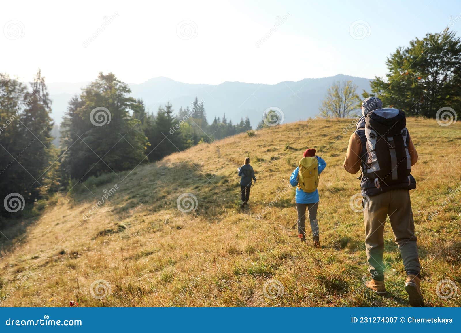 Tourists with Backpacks Hiking in Mountains on Sunny Day, Back View ...