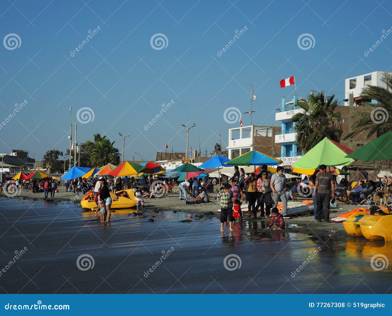Tourists in the Beach, Paracas, Peru. Editorial Stock Photo - Image of ...