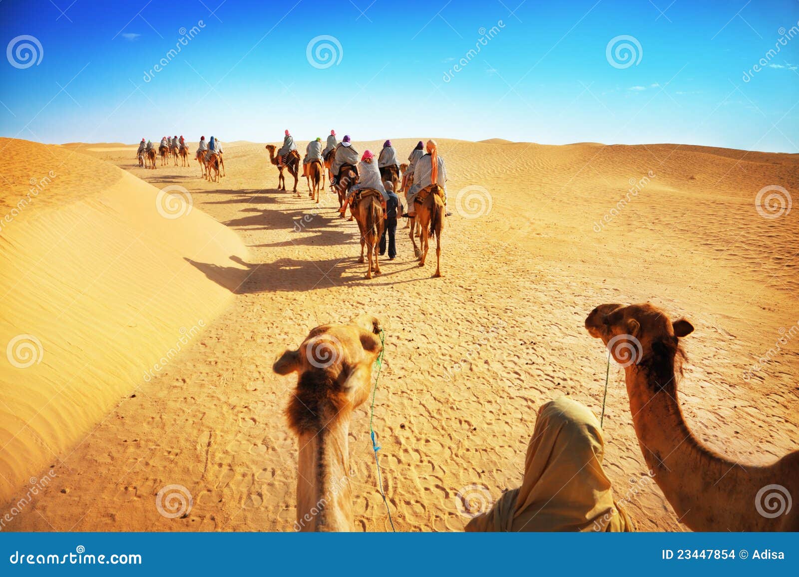 Tourists on camels stock photo. Image of camelback, dawn - 23447854