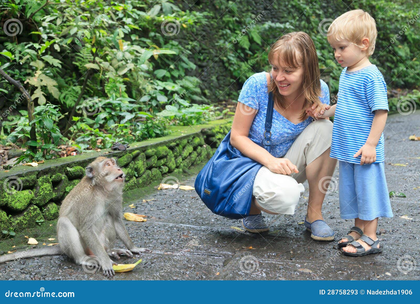 Tourists feeding monkey stock image. Image of enjoying - 28758293