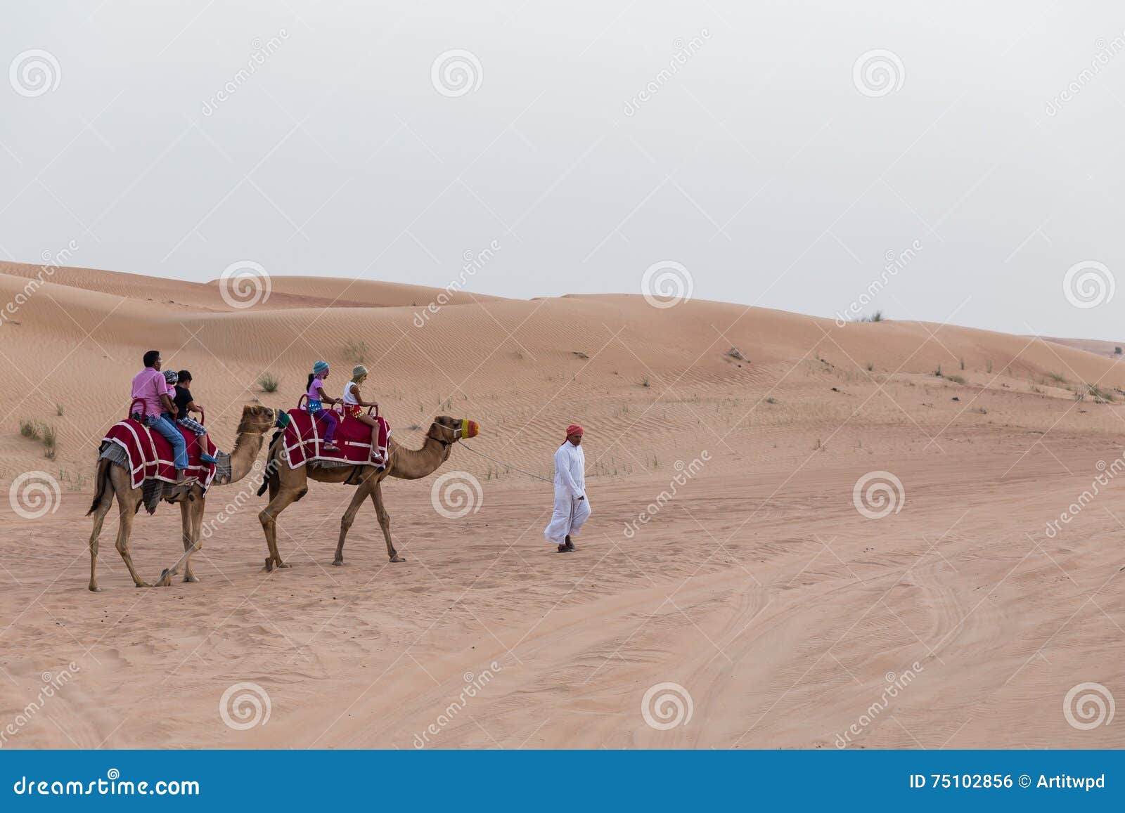 Tourists Riding Camel with Tamer in the Desert of Dubai Editorial Photo ...