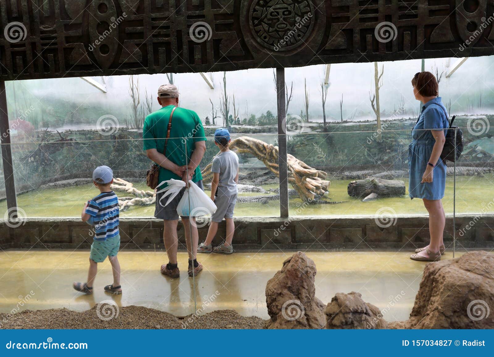 Tourists watching animals stock image. Image of childhood - 157034827