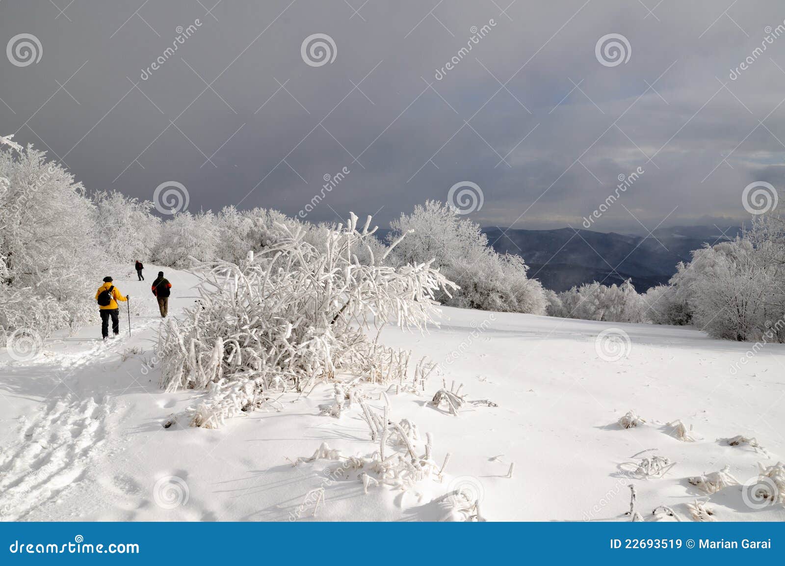 Tourists in the Winter Landscape Stock Image - Image of cold, tourists ...