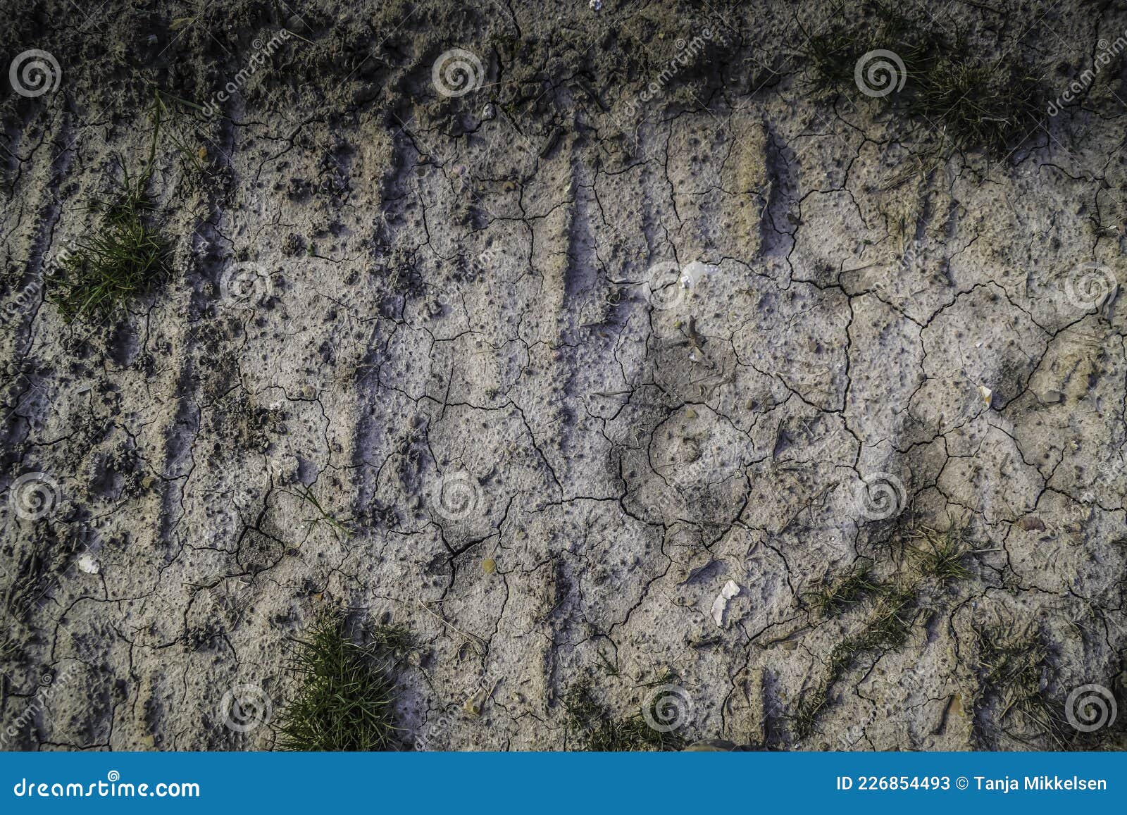 X-ray Image Of Cracked Human Bone. Wrist Fracture Royalty-Free Stock ...