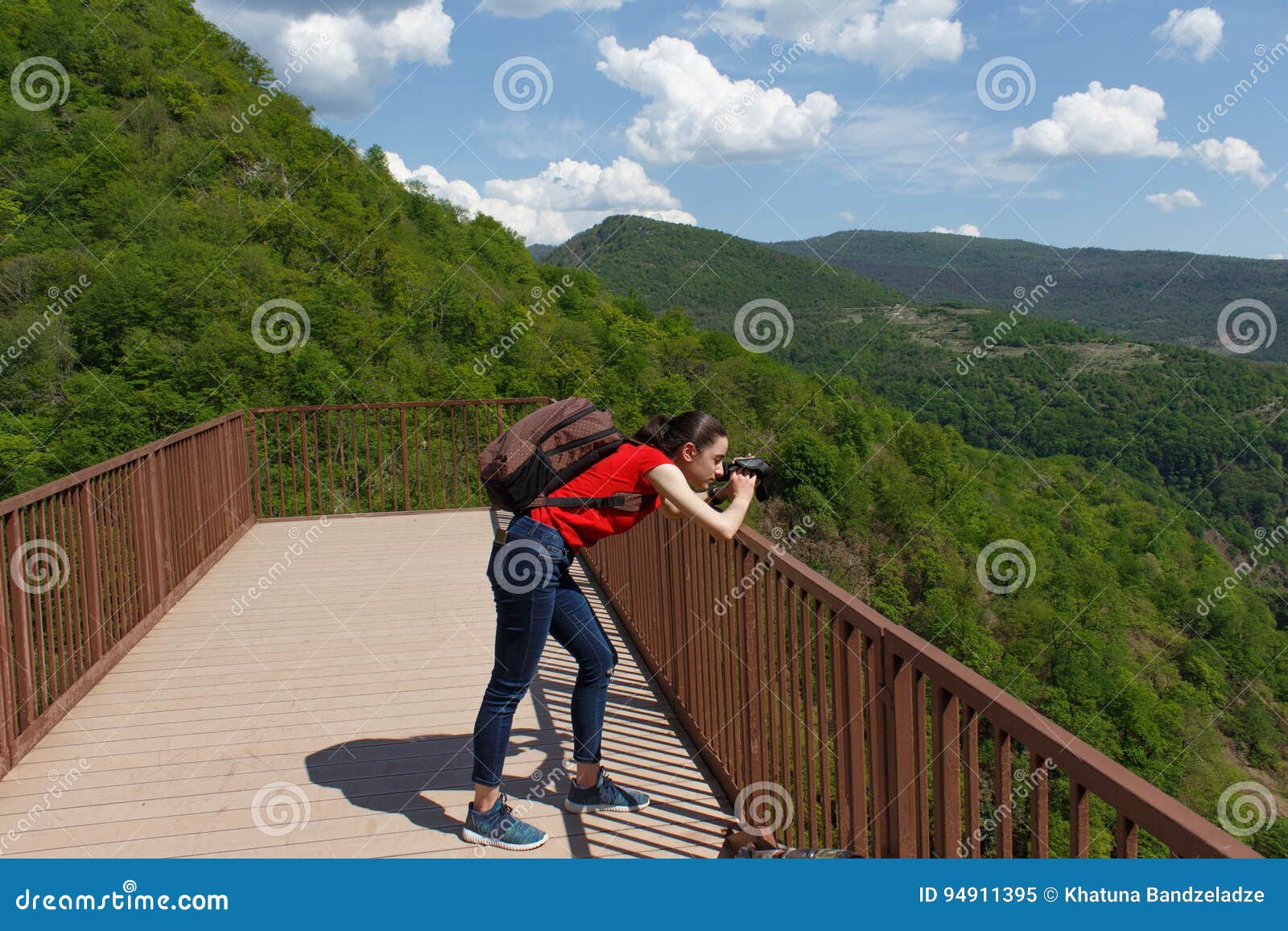 Tours on the Viewing Platform in the Forest of the Mountains Reserve ...