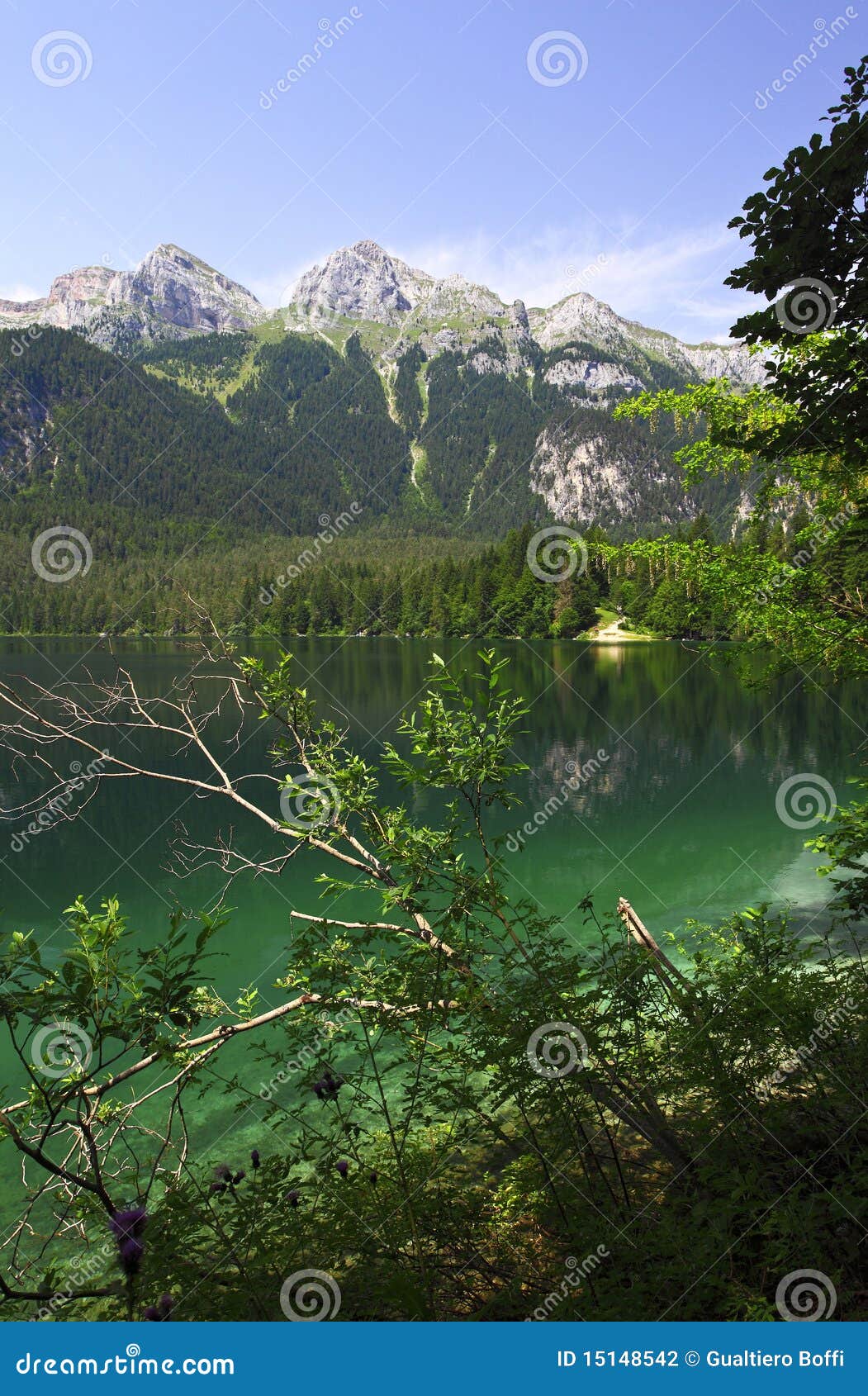 Tovel lake, italian alps stock photo. Image of forest - 15148542