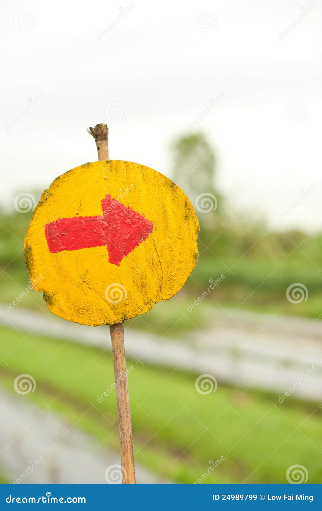 Towards the Right Direction Stock Image - Image of board, leading: 24989799