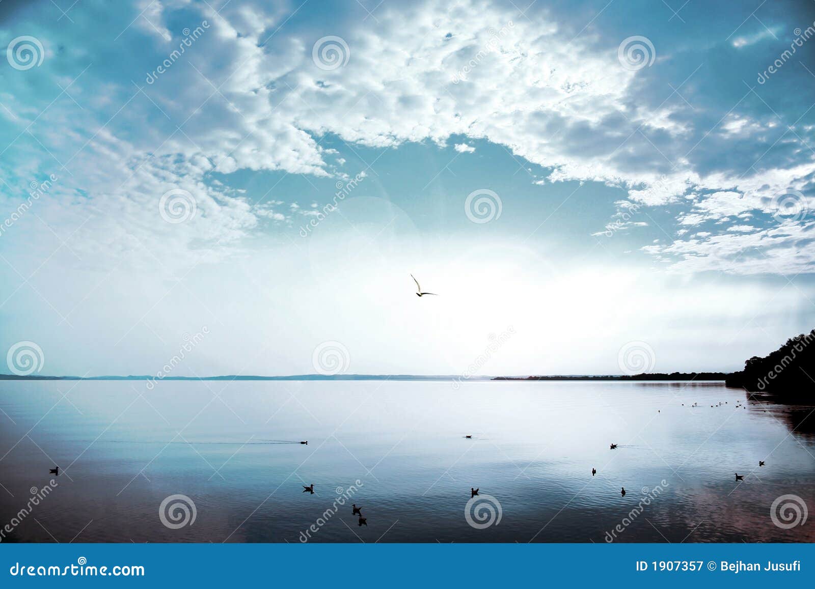 Towards the Sun stock image. Image of horizon, sunrise - 1907357