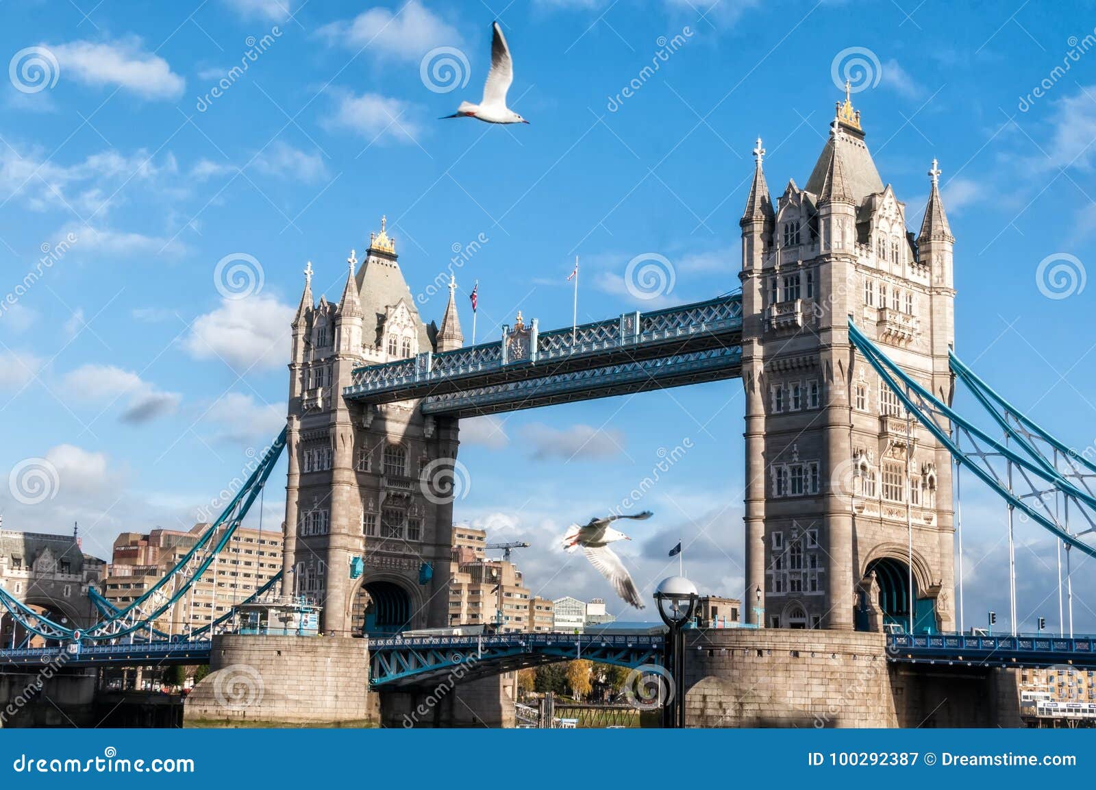 Tower Bridge, London and Birds Stock Image - Image of bridge, capital ...