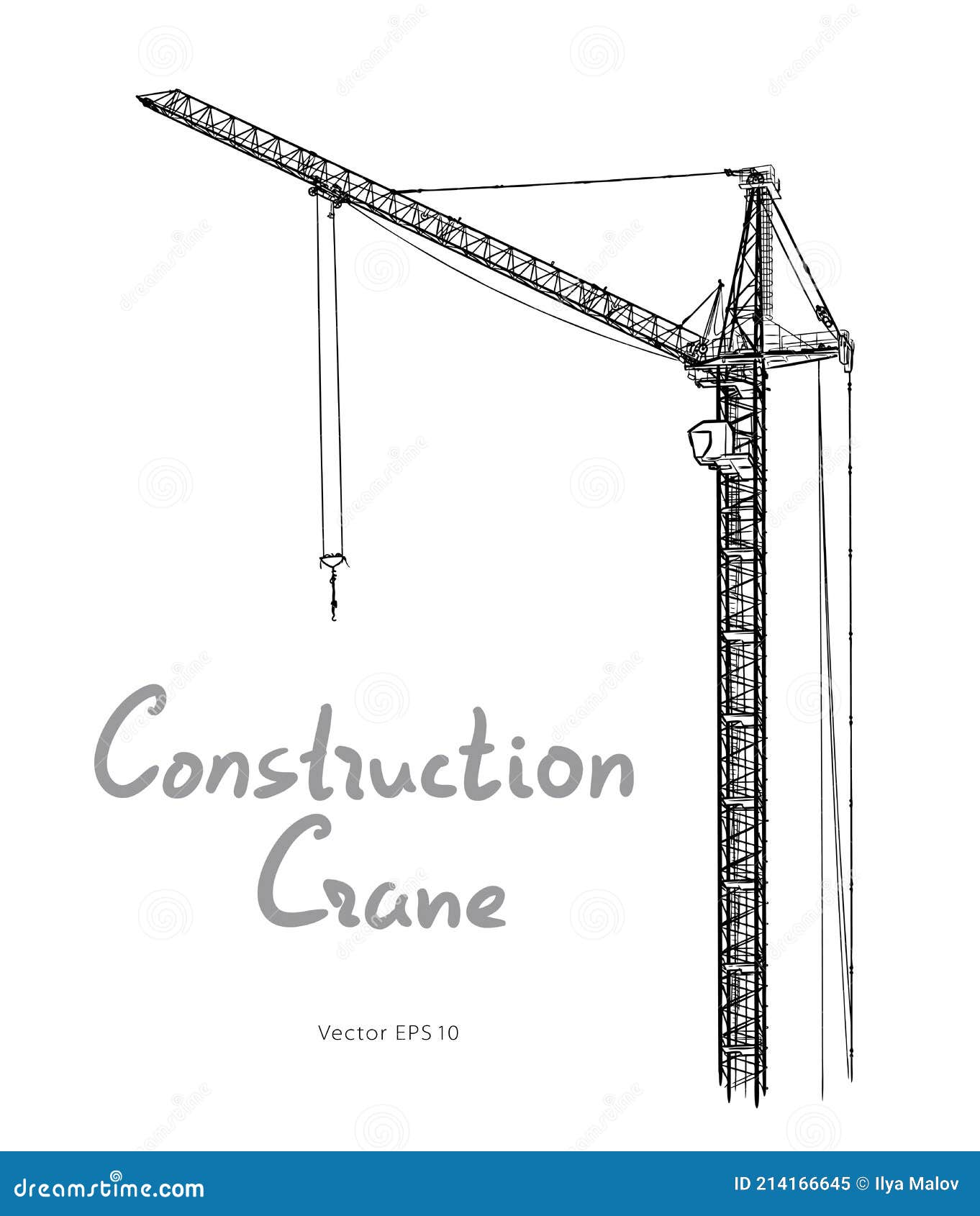 Cranes Hand Drawn Sketch And Watercolor Illustrations. Watercolor ...