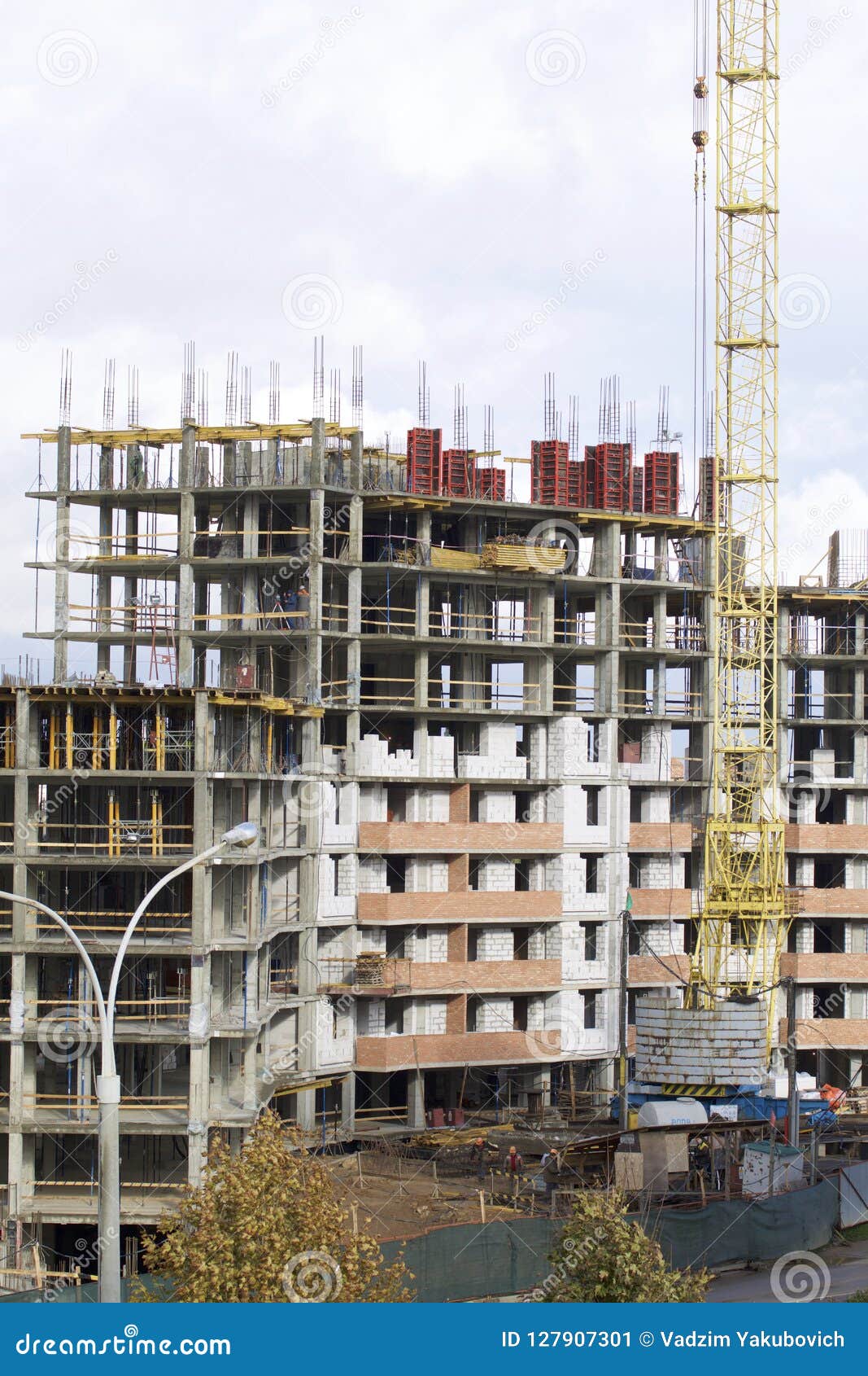 Tower Crane on the Construction of a Building with a Frame of ...