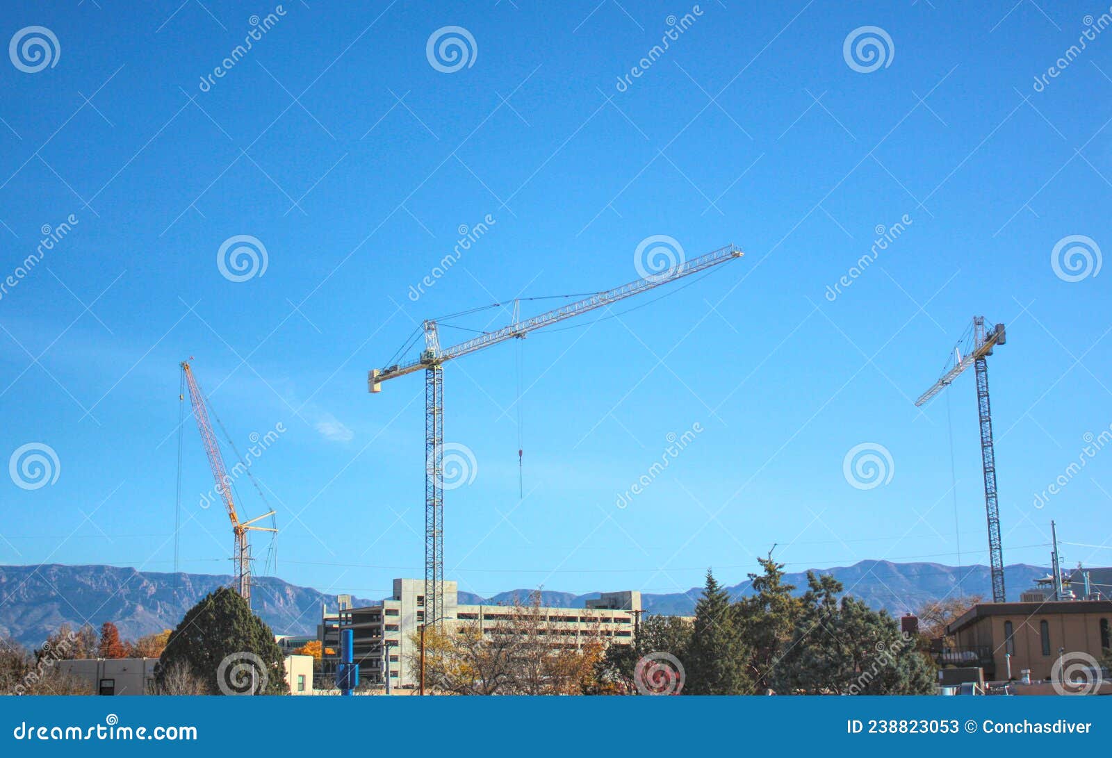 Tower Cranes & a Luffing-Boom Crane Stock Image - Image of building ...