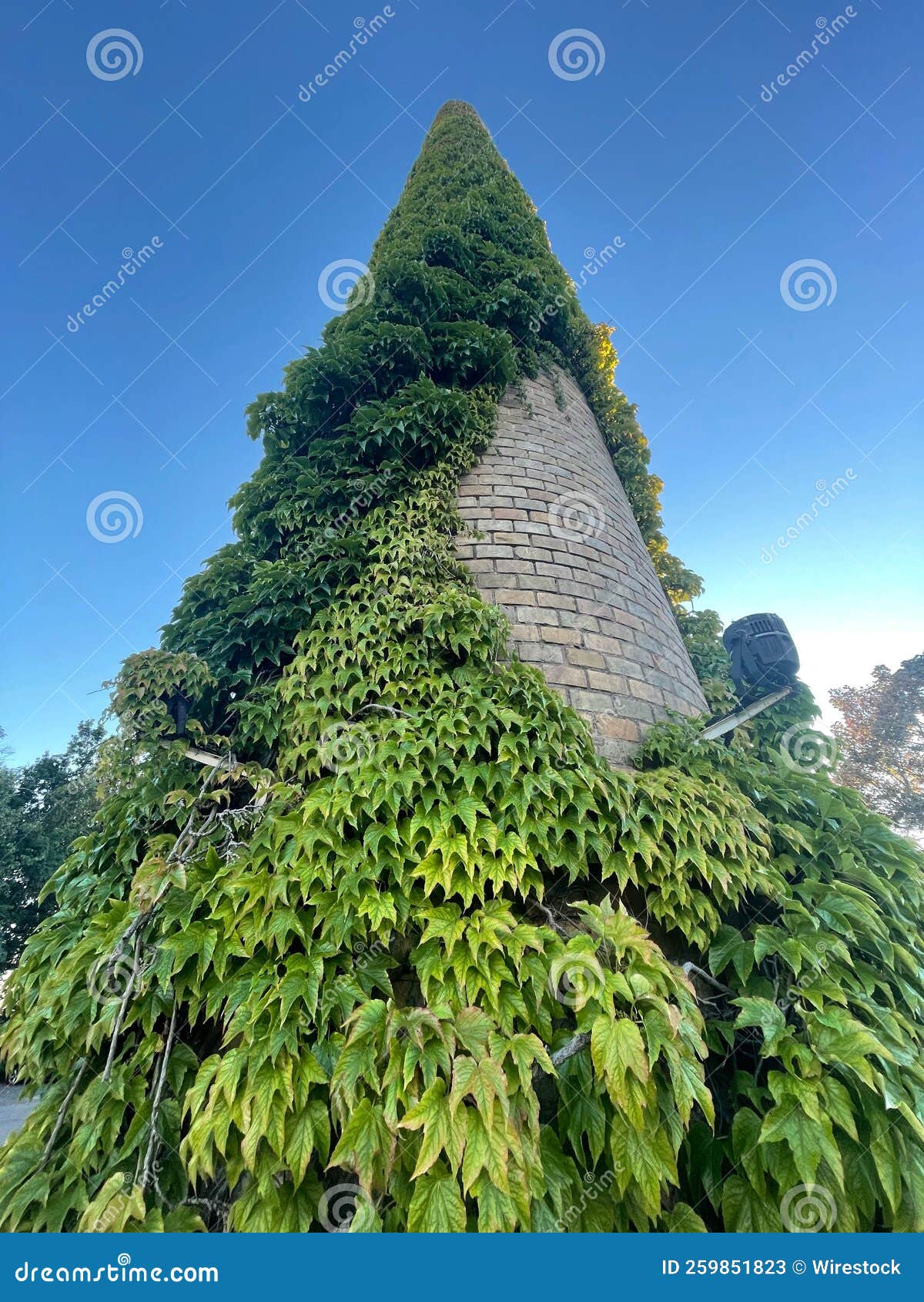 Tower crowded with plants editorial stock photo. Image of landmark ...