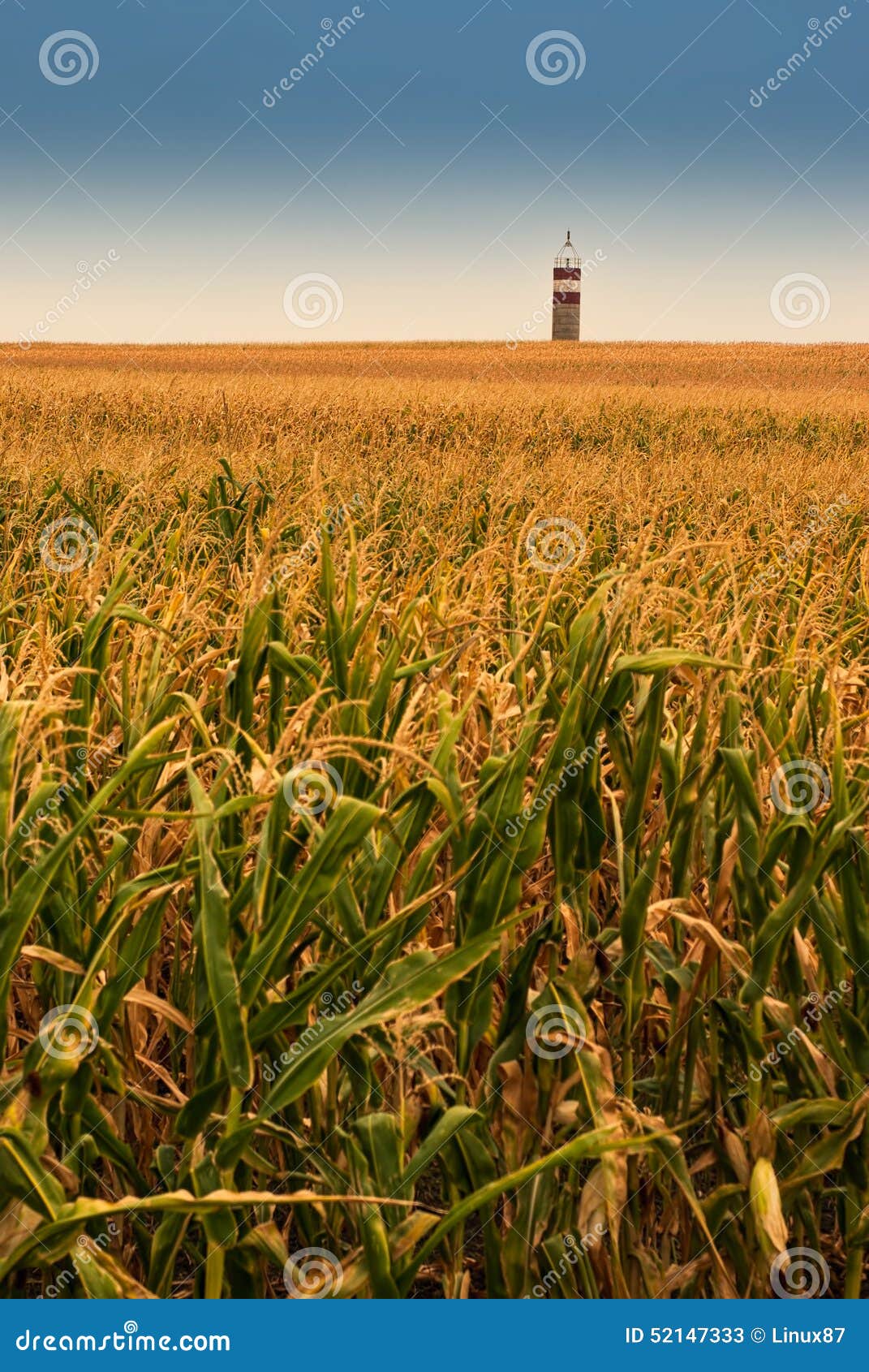 Tower on field stock image. Image of biofuels, harvest - 52147333