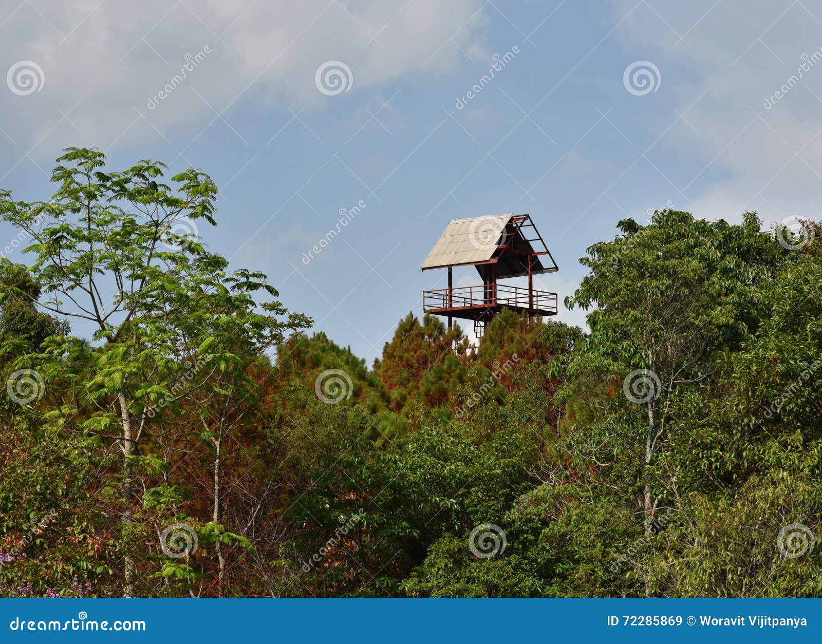 Tower forest - Tree house stock image. Image of dream - 72285869