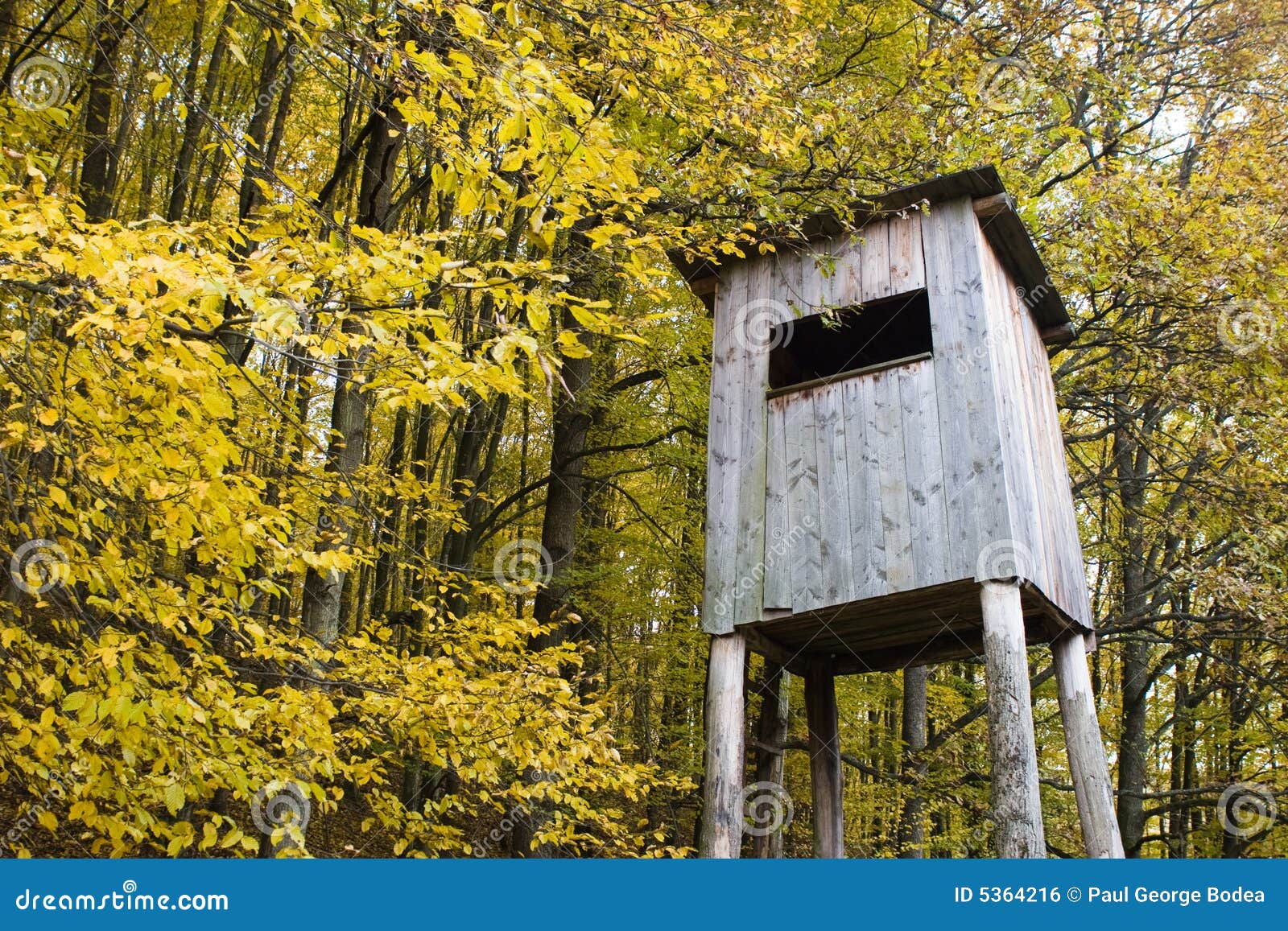 Tower Hide for Birdwatching Stock Photo - Image of hobby, observation ...
