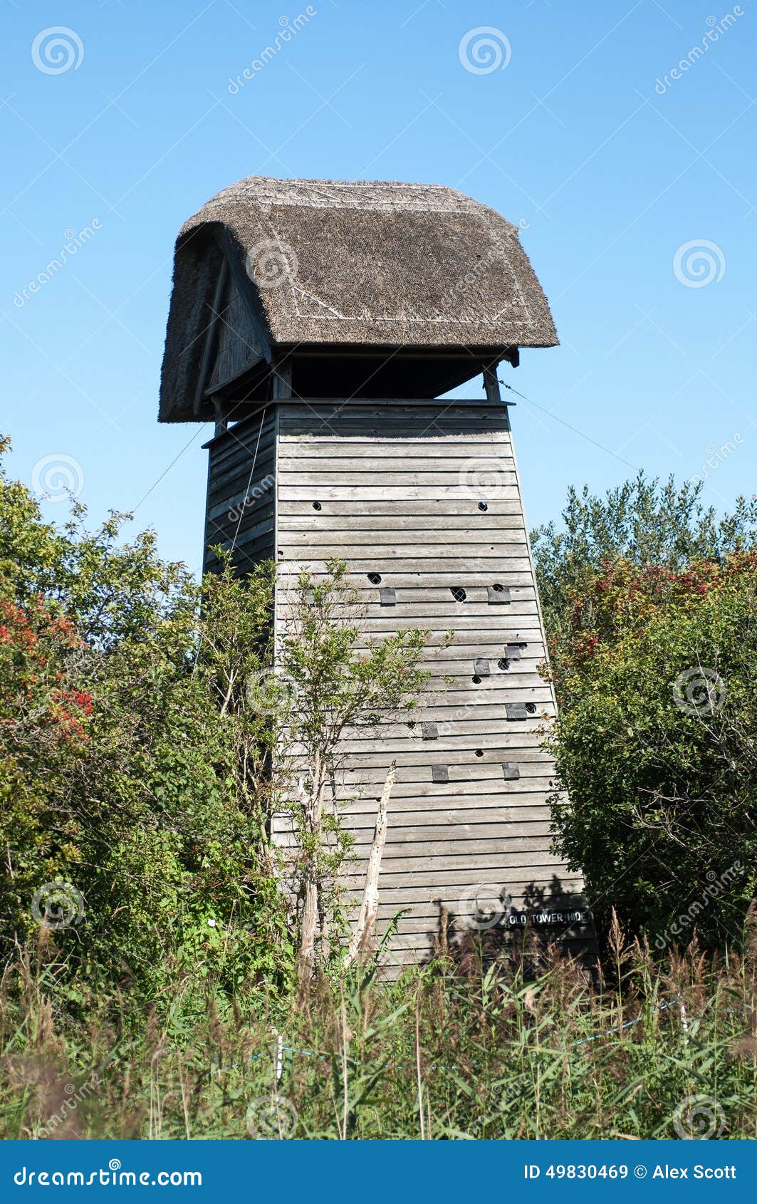 Tower hide stock image. Image of reserve, monitoring - 49830469