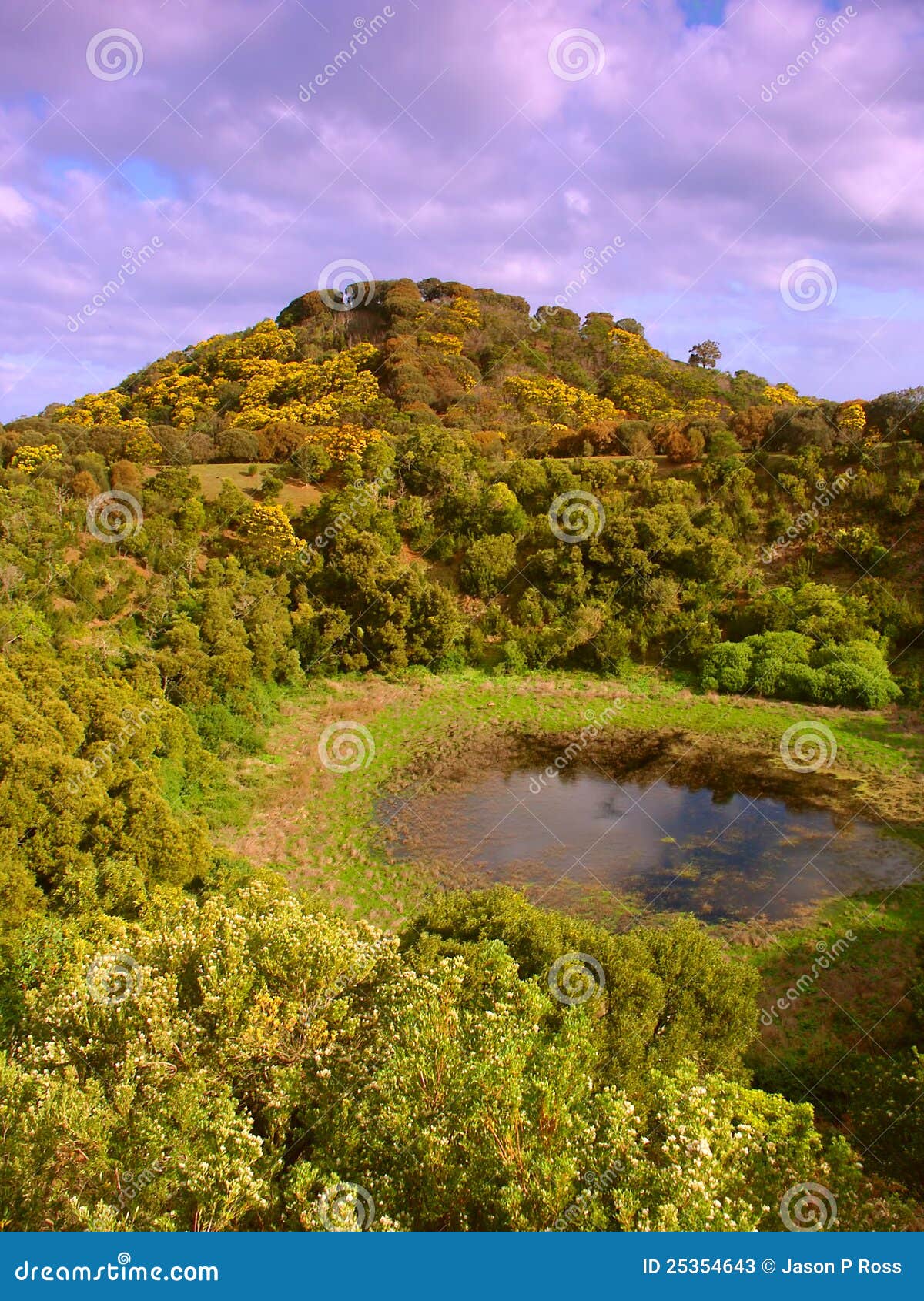 Tower Hill State Game Reserve Stock Image - Image of game, landscape ...