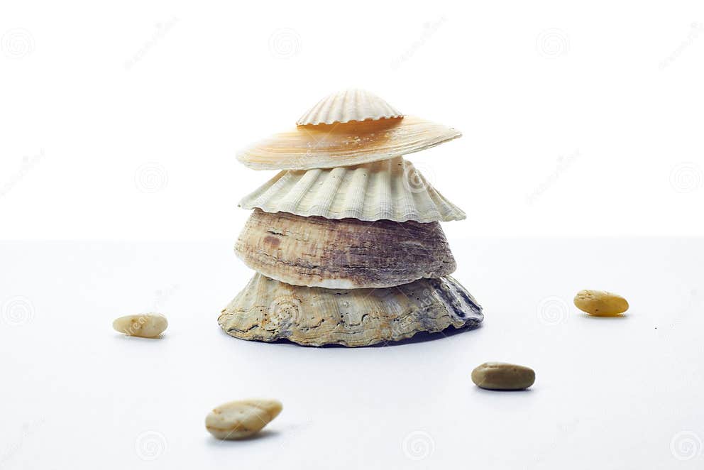 Tower Made with Shells on a White Background Stock Image - Image of ...