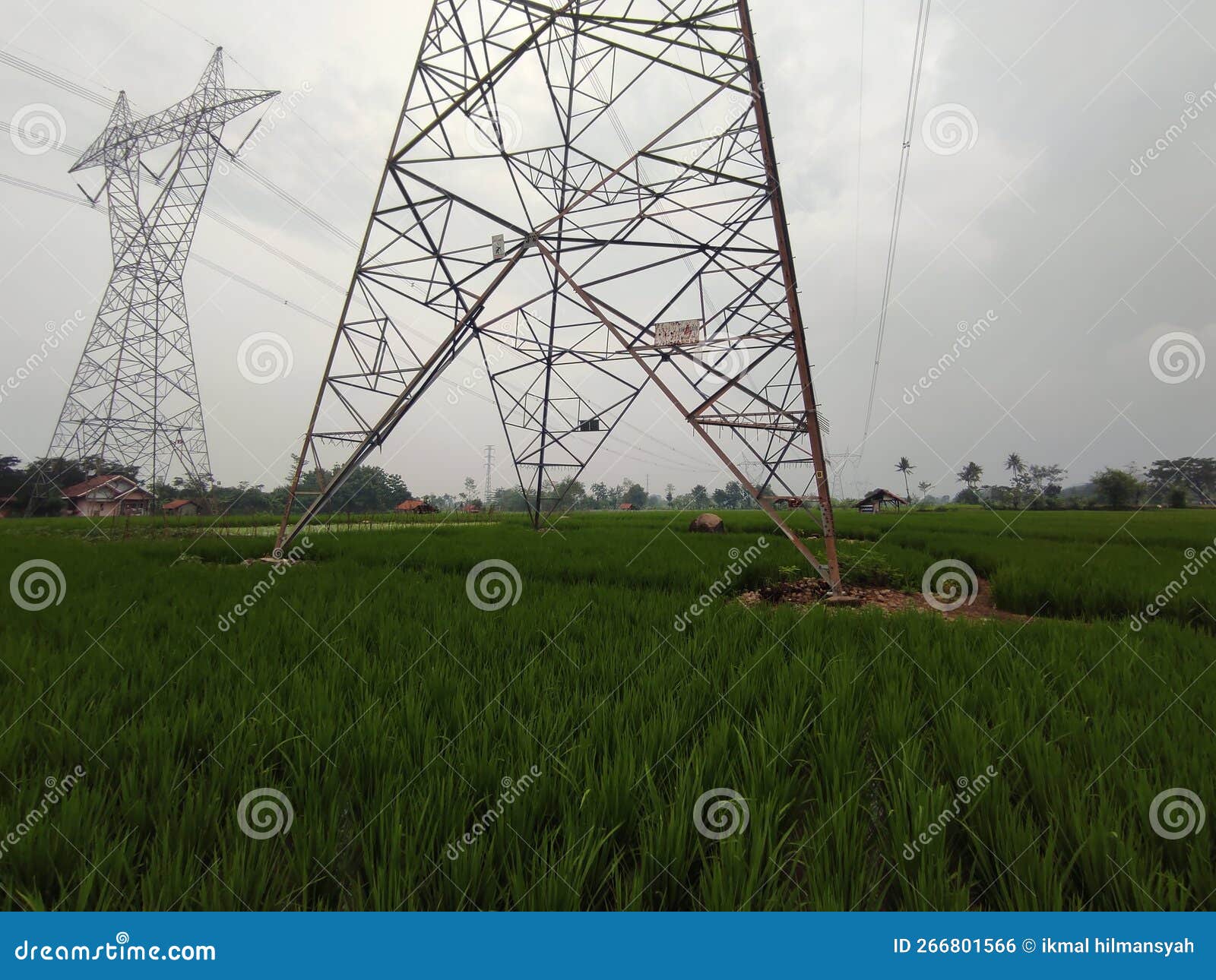 Tower in the rice field stock photo. Image of wind, rice - 266801566