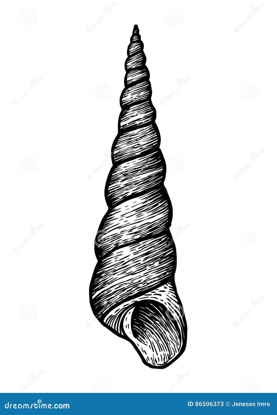 Tower, Shell Illustration, Drawing, Engraving, Ink, Realistic Stock ...