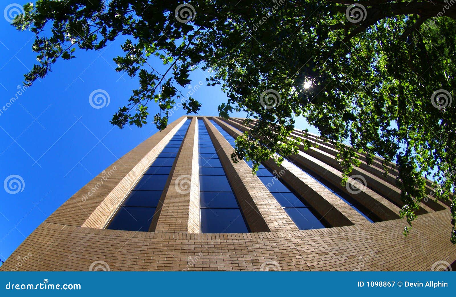 Tower through the trees stock image. Image of scraper - 1098867