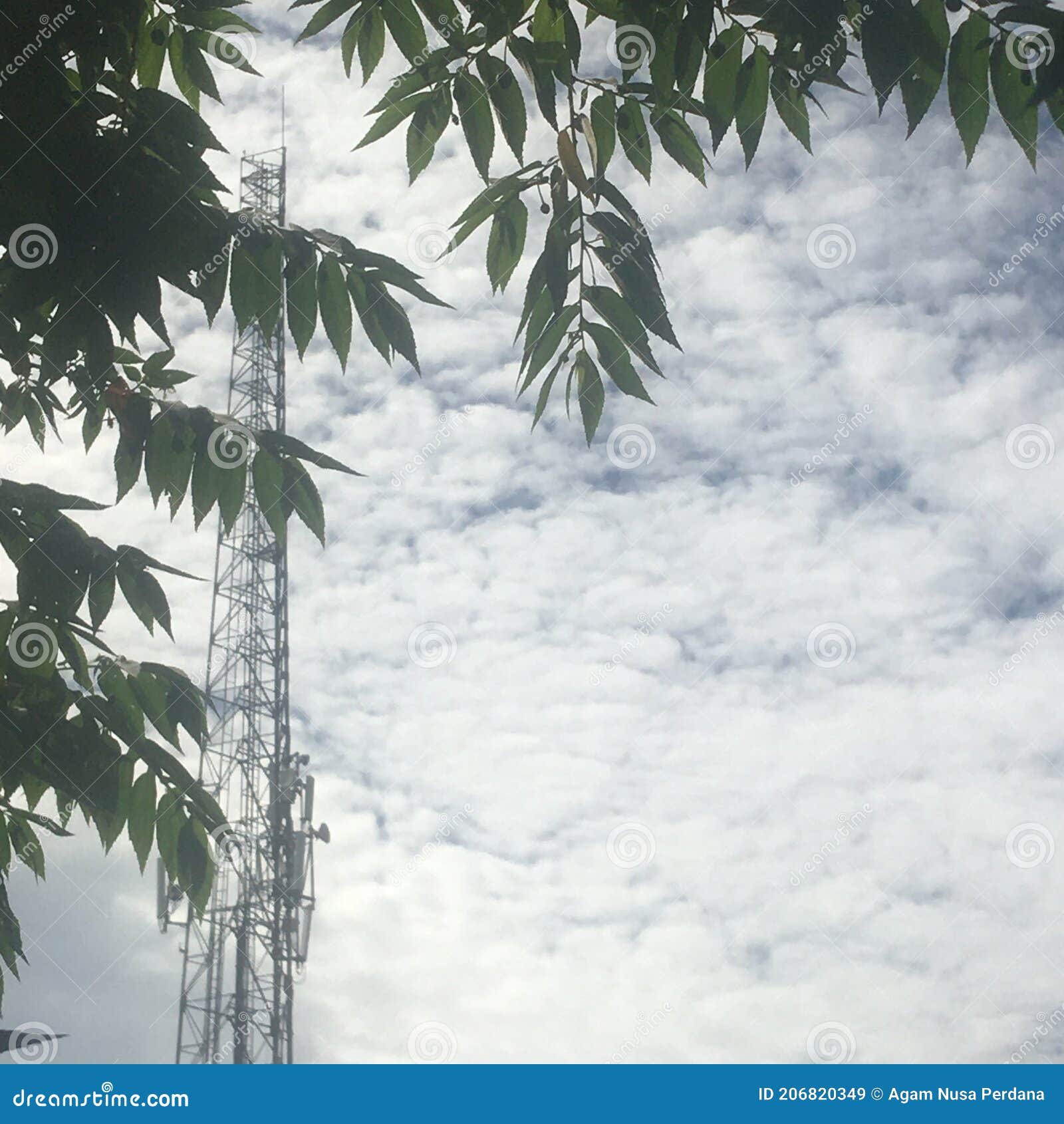 In between stock image. Image of tower, leaves, hide - 206820349