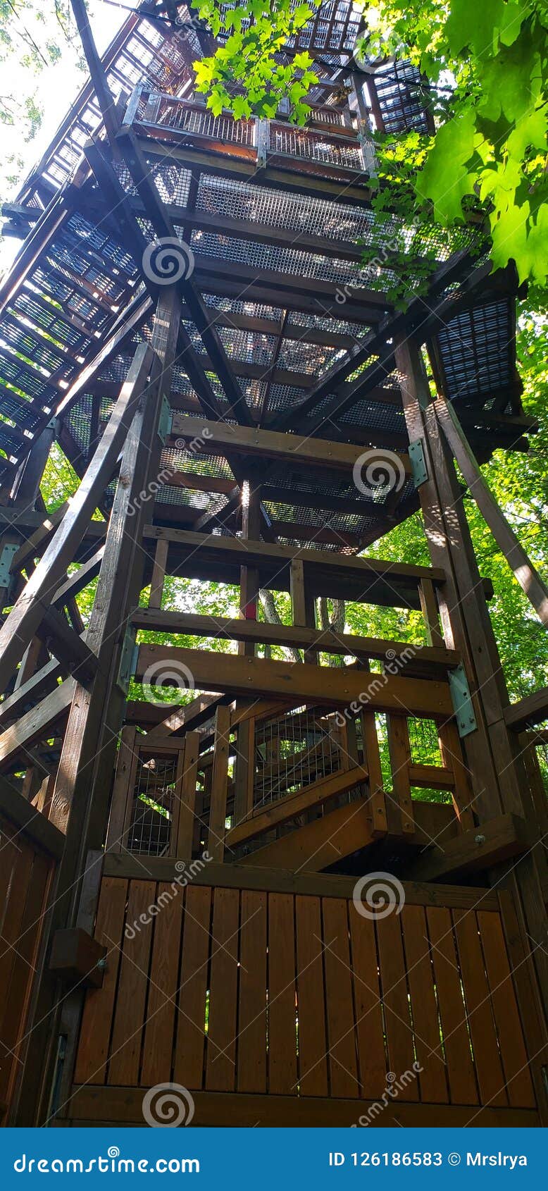 The Holden Arboretum Tower in Kirtland, Ohio Stock Image - Image of ...