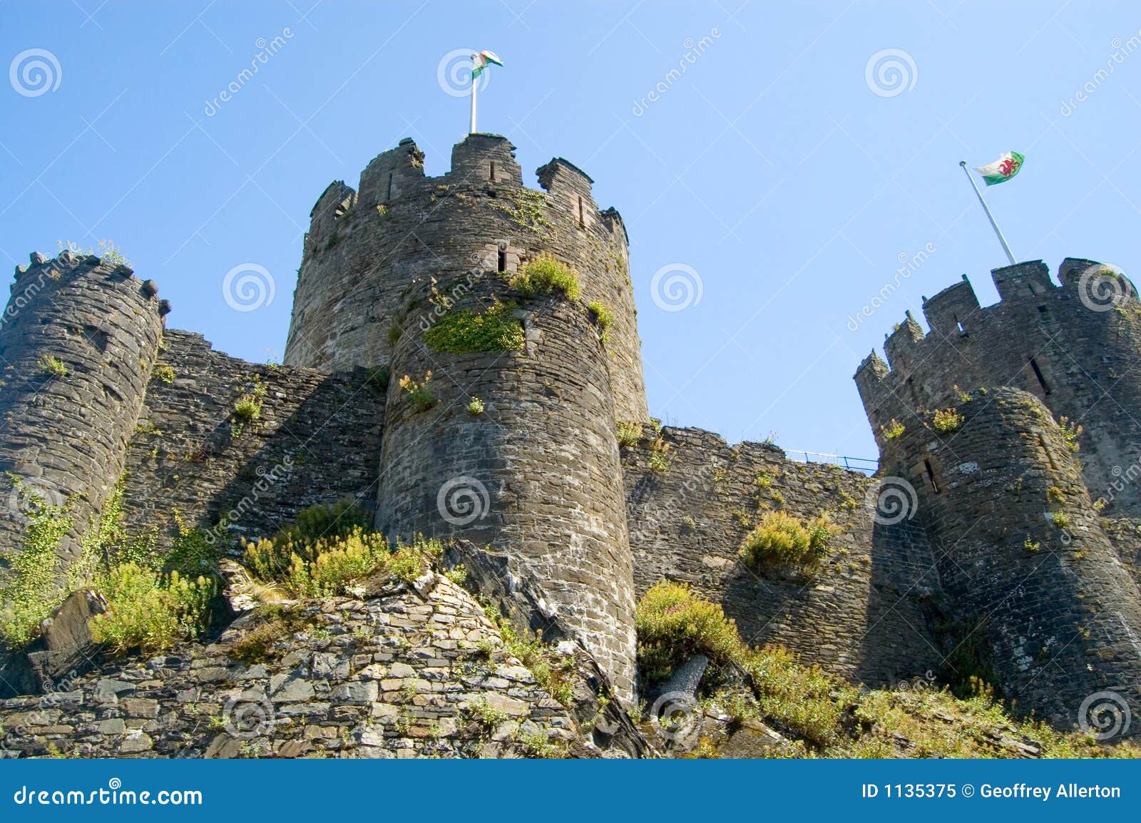 The towering castle stock image. Image of towers, building - 1135375