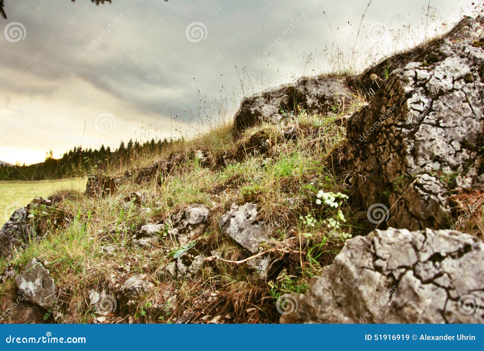The Towering Limestone Cliffs Dense Coniferous Forest Stock Image ...