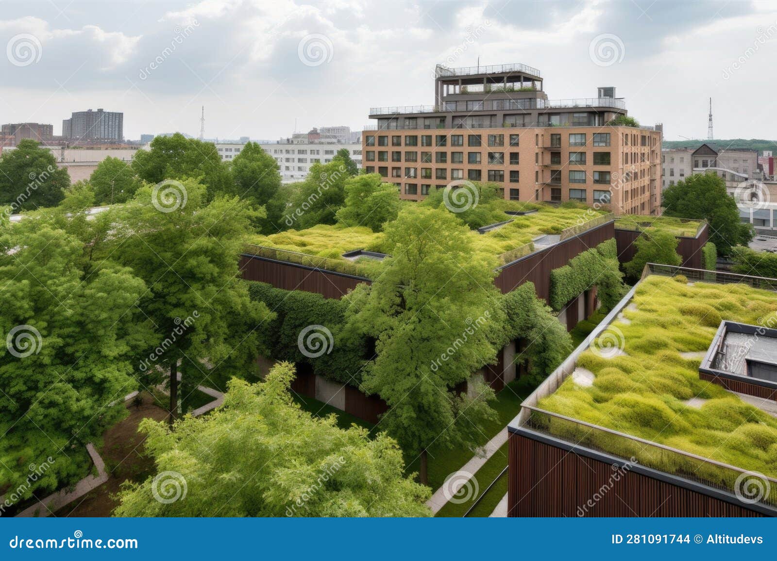 Towering Mature Trees and Green Rooftops in Park Setting Stock Photo ...