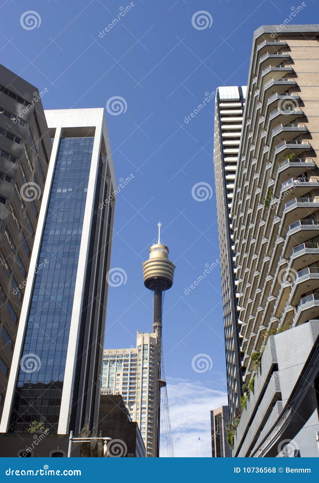 Towering Skyscrapers stock photo. Image of high, outdoor - 10736568