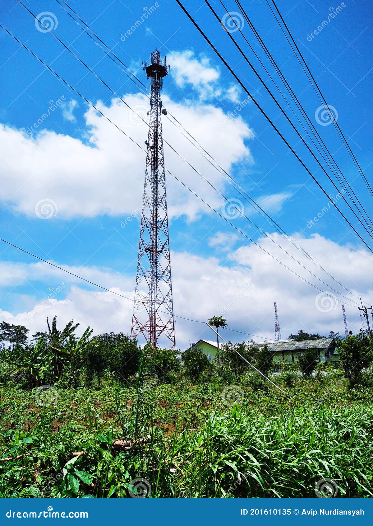 Towering Towers of Transmitter Unite with this Nature Stock Image ...