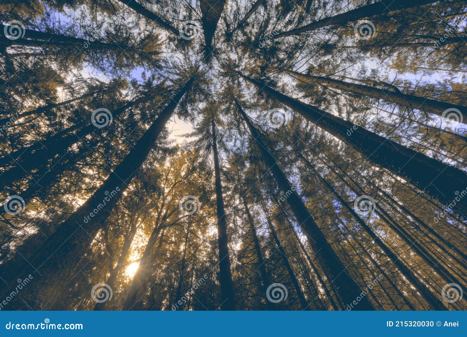 Nice Forest Landscape And Hills Greenery Royalty-Free Stock Photo ...