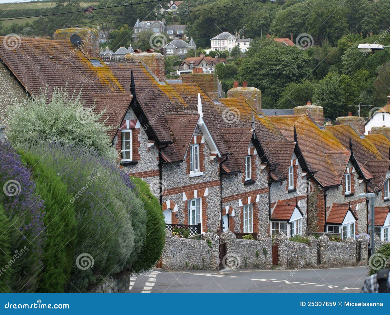 Town of Beer, Devon, England Stock Image - Image of houses, house: 25307859