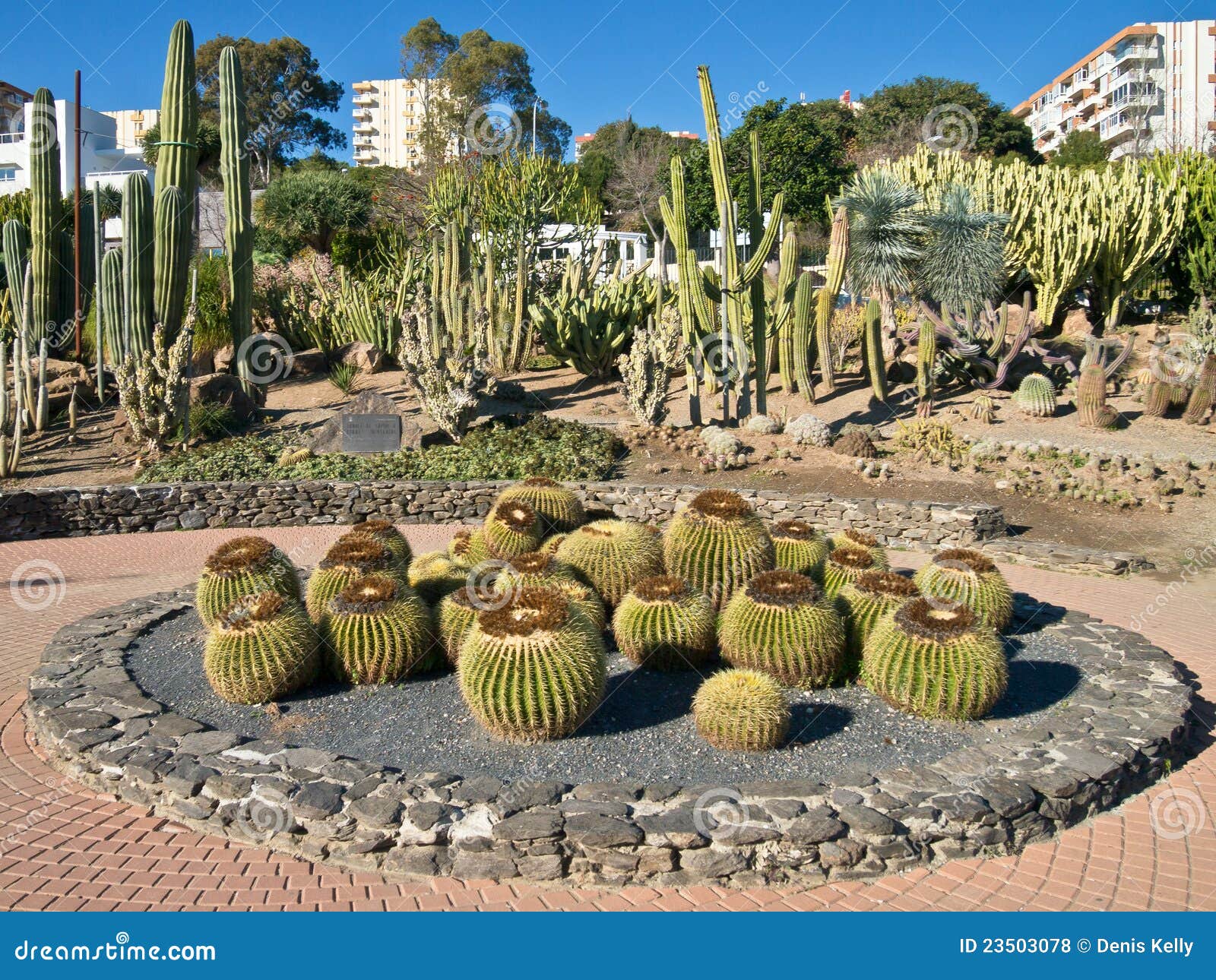 Town Centre Cactus Garden Spain Stock Photo - Image of plants ...